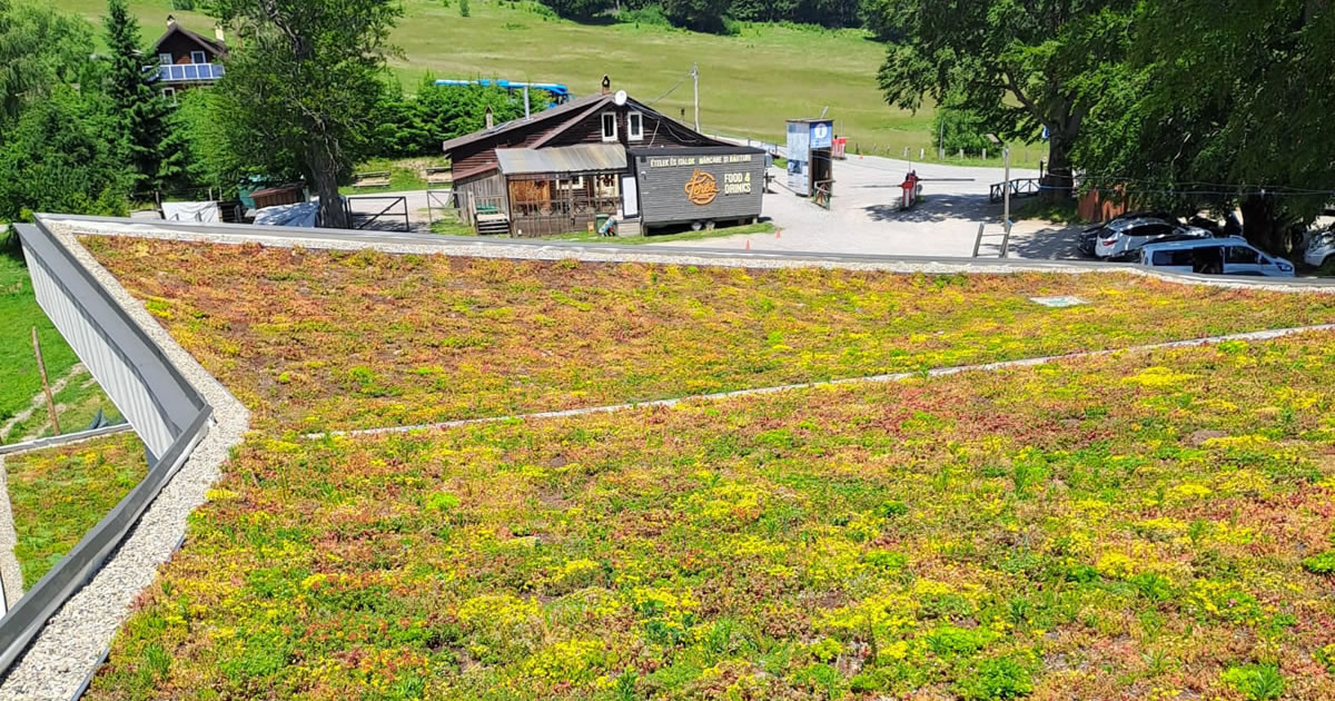 ODU Green Roof • Centru ecoturistic lacul Sfânta Ana - Tinovul Mohoș ...