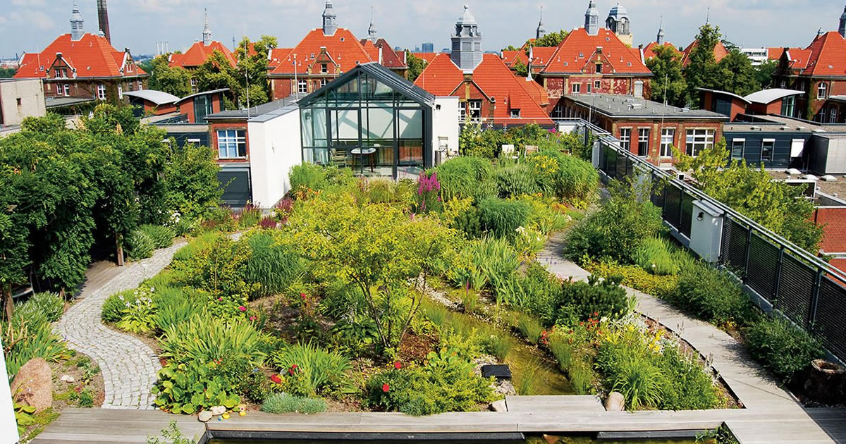 ODU Green Roof • Greening of urban spaces through innovative solutions