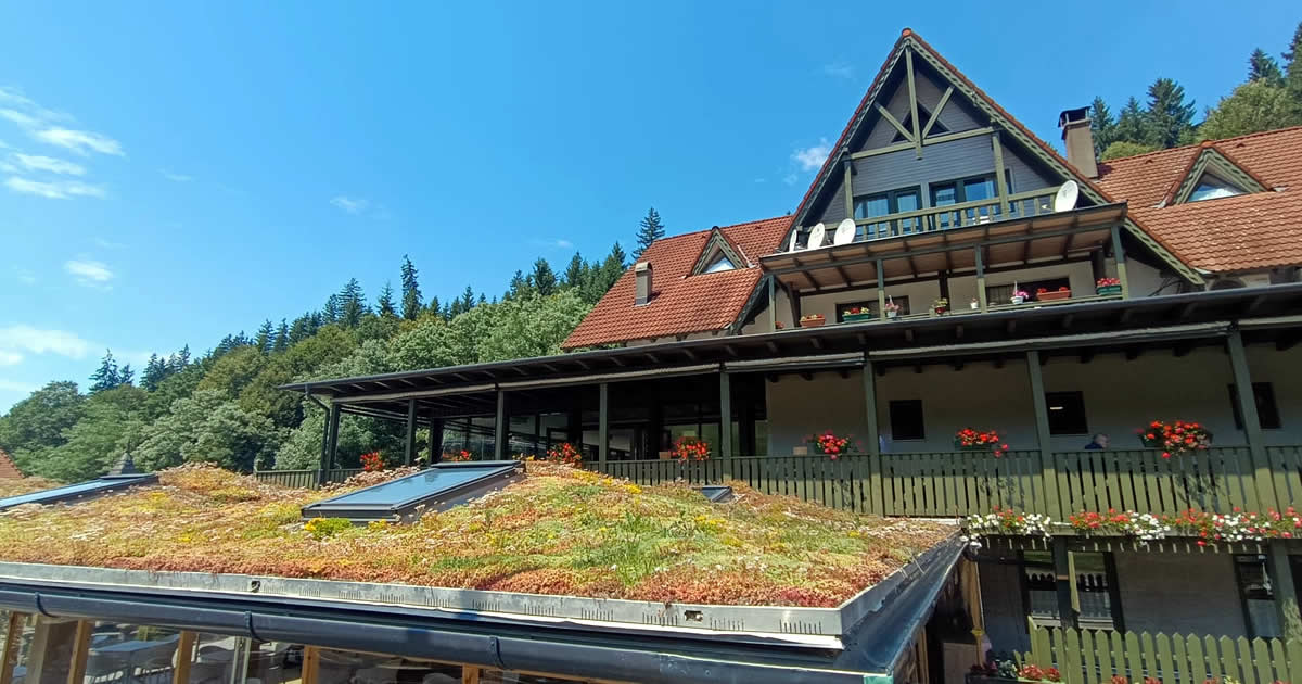 ODU Green Roof • Acoperiș verde ultraușor de doar 70 kg/mp - Lobogo ...