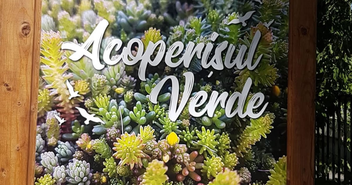 ODU Green Roof • Amenajarea unui acoperiș verde la Opera Comică pentru ...